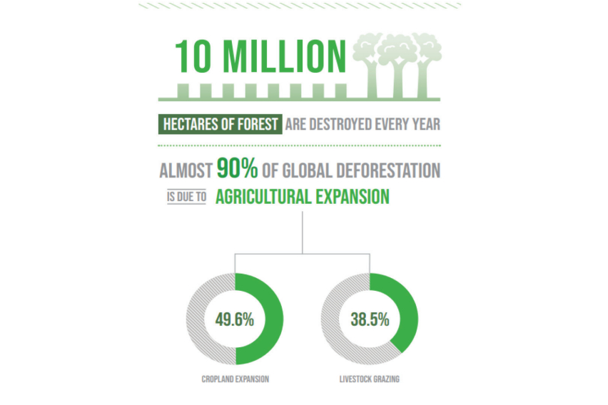 AGÜ Sustainability